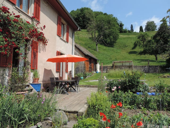 Maison De Village Avec Jardin - Munster
