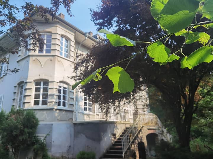 Gîte Aux 5 Grands éCureuils-12 Personnes - Belmont, France