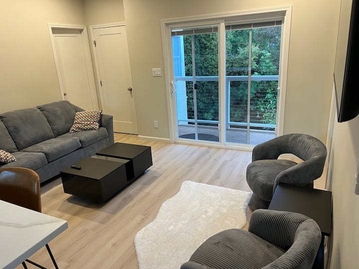 Brand New Modern Luxury Unit  | Walk To Downtown - San Mateo, CA