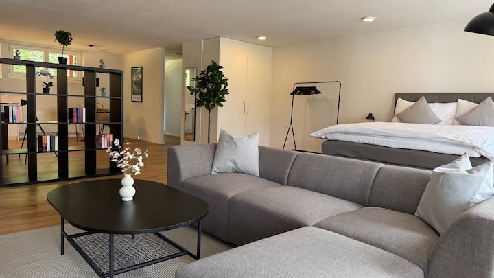 City Loft (Gratis Parken, Free Parking) - Schaffhouse