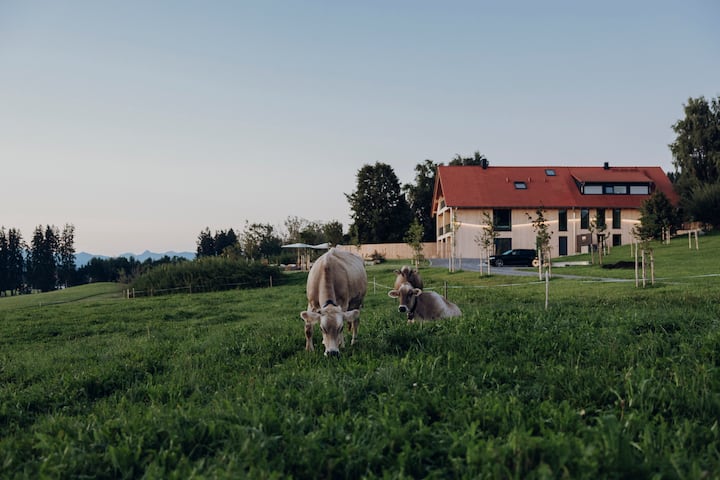 Sona Suites Allgäu: Sauna, Whirlpool & Naturblick - Altusried