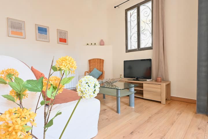 Charme & Fraîcheur à Nîmes T2 Cosy Avec Clim Cour - Marguerittes