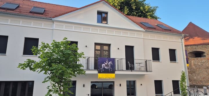Hiša Barbara Celje - 2.01 Double Room W/balcony - Celje