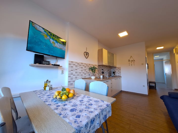 App Milena – The Sea Around The Corner - Istrie