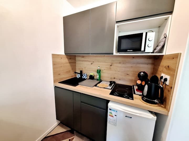 Studio Alpha 5mn Walk To The Station 3mn To Disney - ibis budget Marne la Vallée