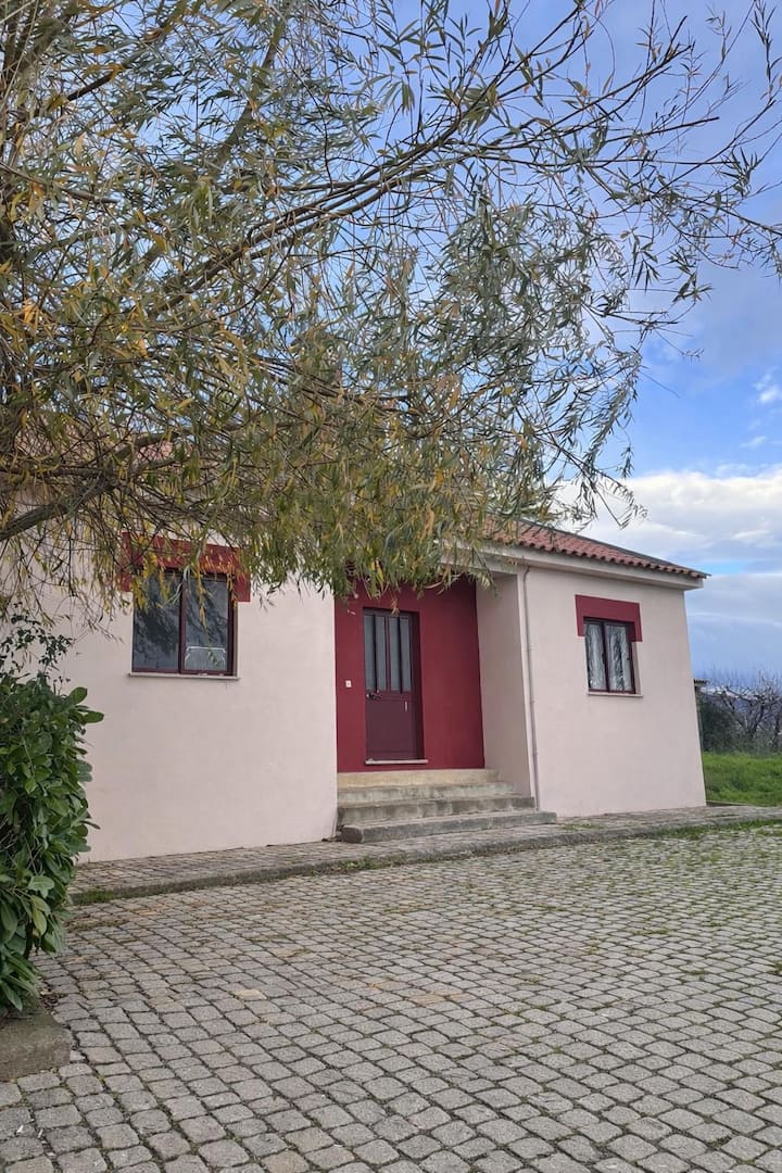 Tranca Da Barriga – Casa Do Vinho - Covilhã