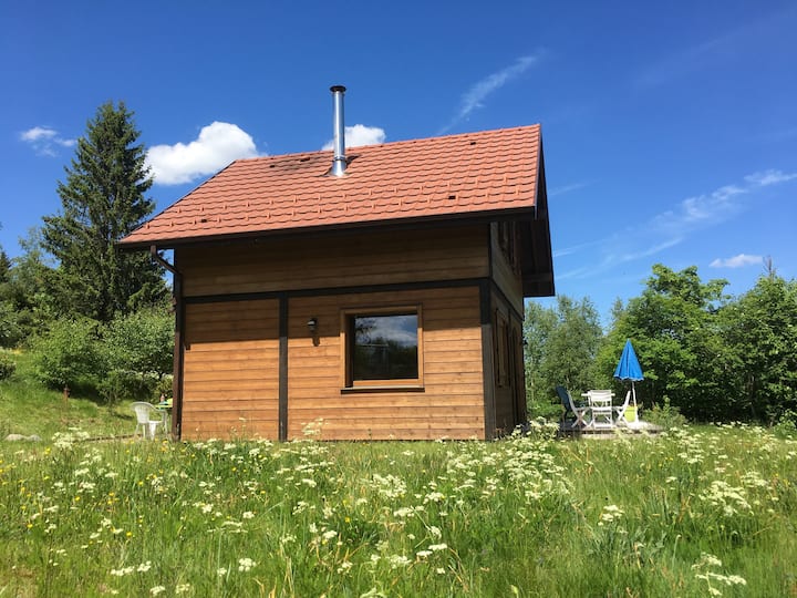Chalet Neuf,4 Pers Aux Pistes De Ski De Gérardmer - Gérardmer