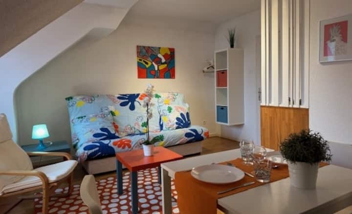 Chambre Meublée Avec Accès Indépendant - Strasbourg