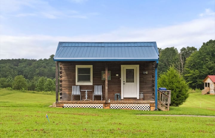 A Squirrels Paradise 2 - Pilot Mountain, NC