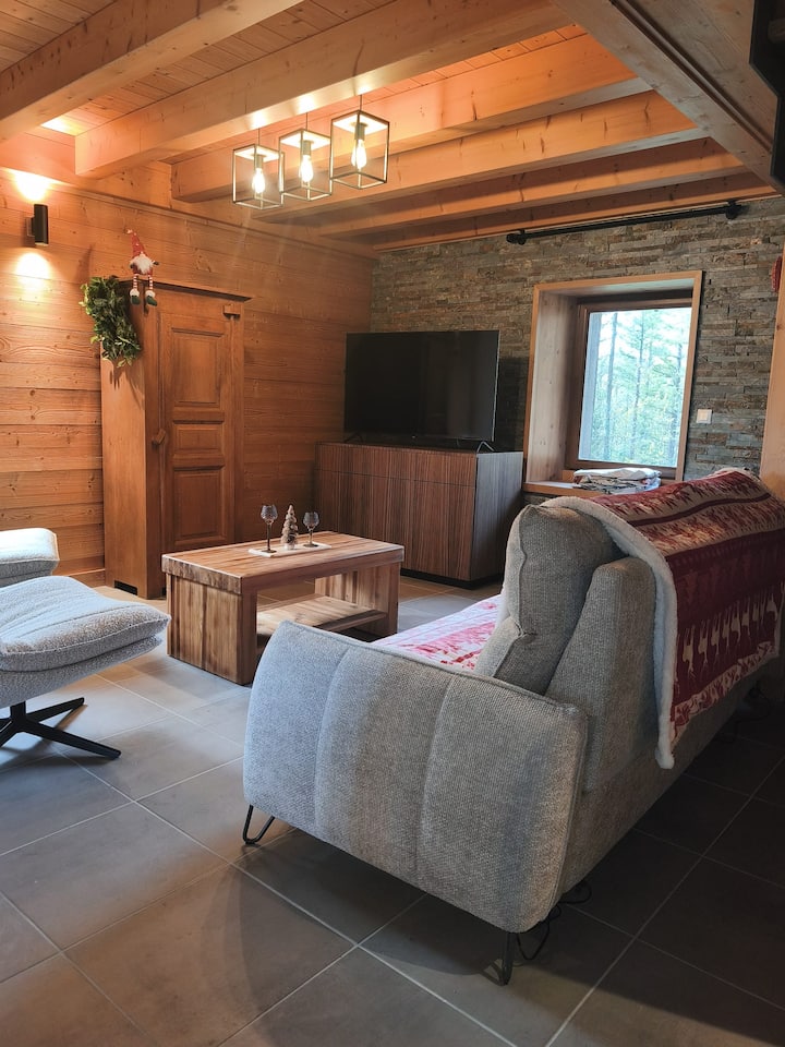 Magnifique Appartement Avec Clim/terrasse/nature - Belley