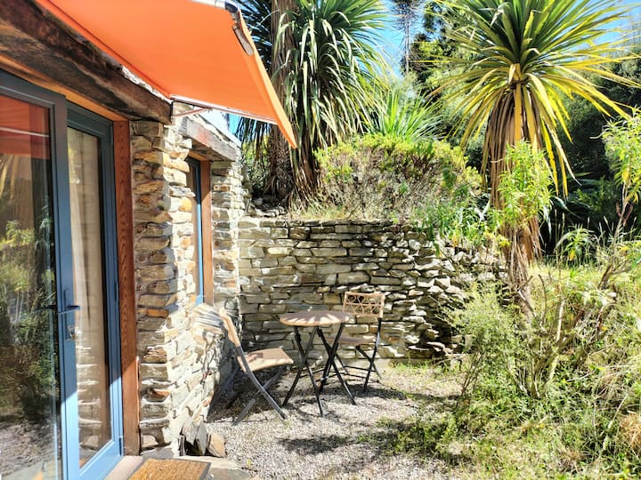 Pipipi Passing Through - Wanaka