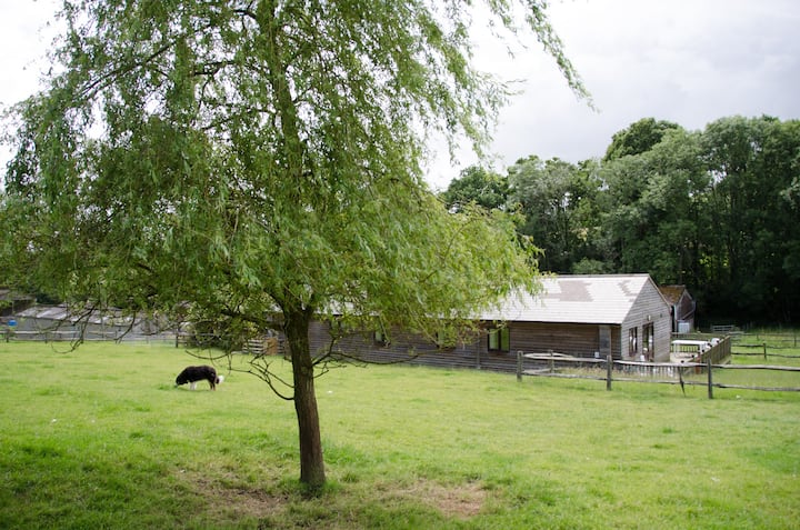 Fully Accessible Holiday Bungalow On Working Farm - East Sussex