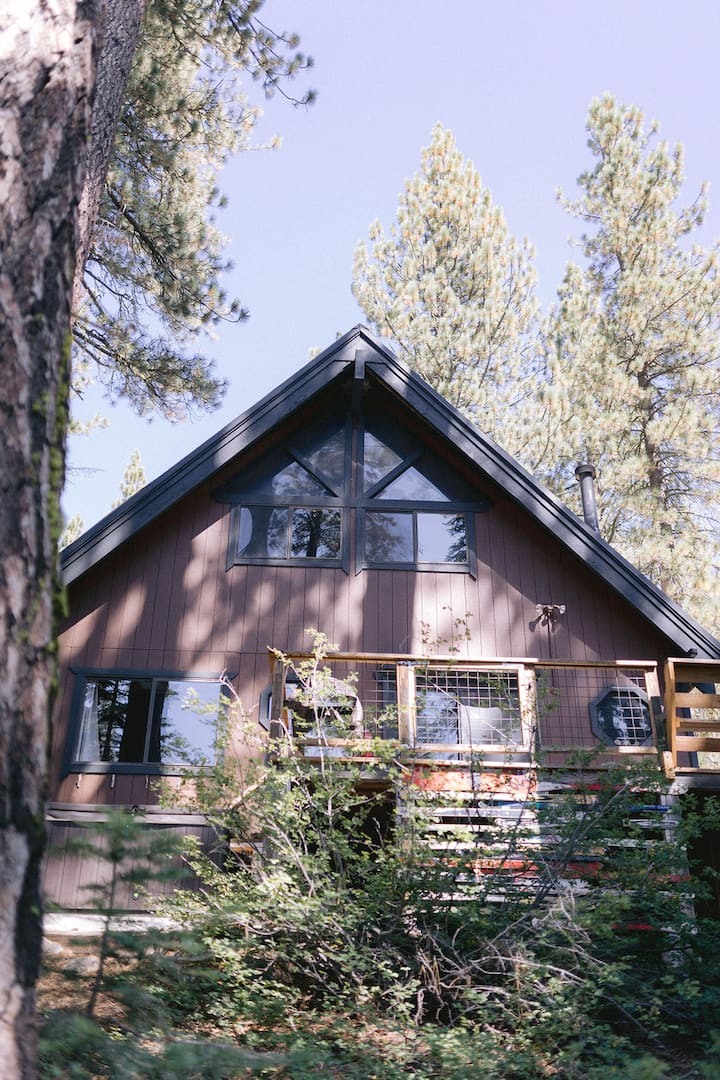 Cabin For Family, Friends, Or Groups! - Tahoe City, CA