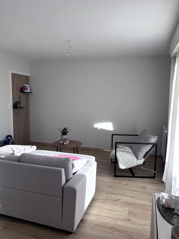 Appartement Chaleureux - Belfort
