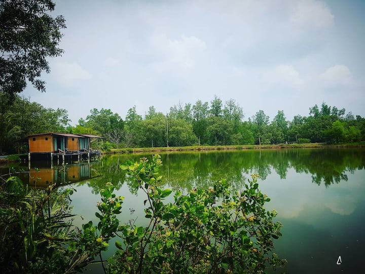 Calm 1 - Mueang Phang-nga District