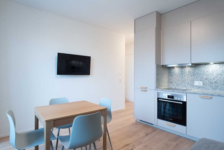Letzigrund Green 3 Apartment - 蘇黎世