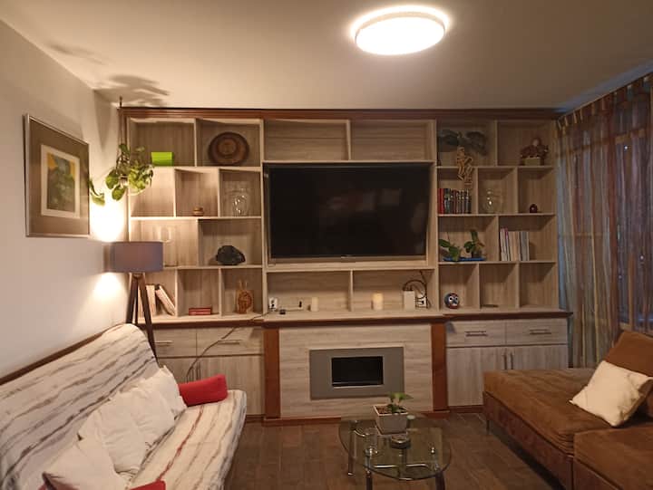 Departamento Del ÁRbol - Ciudad de México