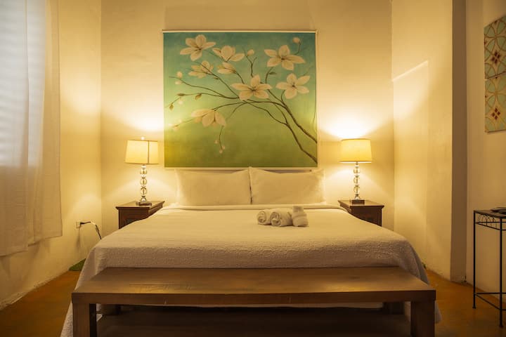 Amazing Location! Beautiful & Comfortable Design - San Juan, Puerto Rico