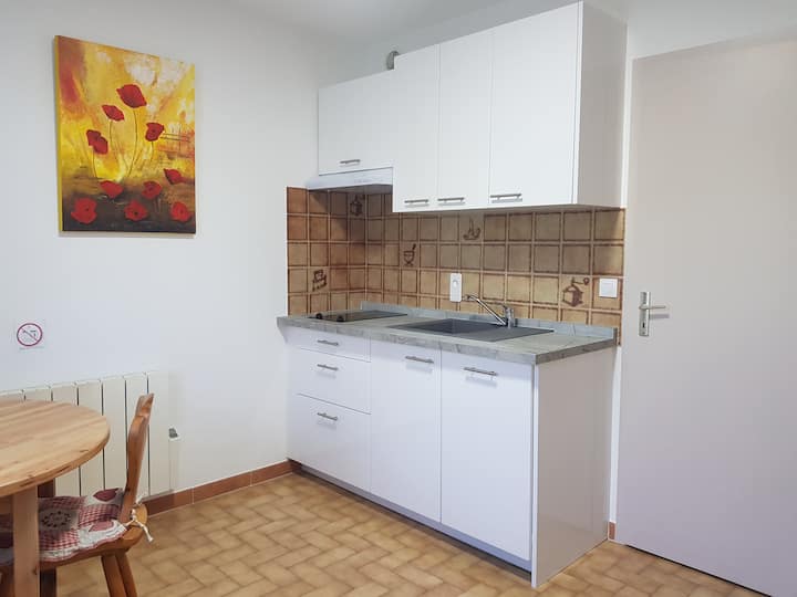 Cyclamens 03 - Thollon-les-Mémises