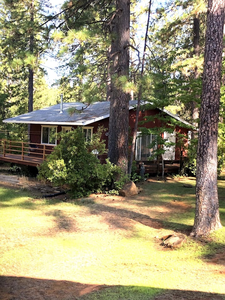 Charming Little House All Your Own - Grass Valley, CA