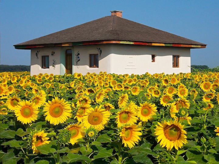 Casa Din Pamant In Mijlocul Naturii - Comuna Cornu