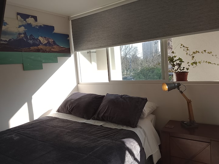 Dpto. Moderno A Pasos Del Metro Parque Almagro - Santiago