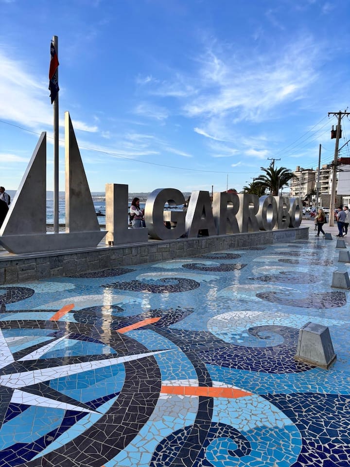 Depto. Candelaria. - Algarrobo