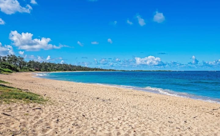 Sea & Sand Escape - Beachfront | Ac - Laie, HI