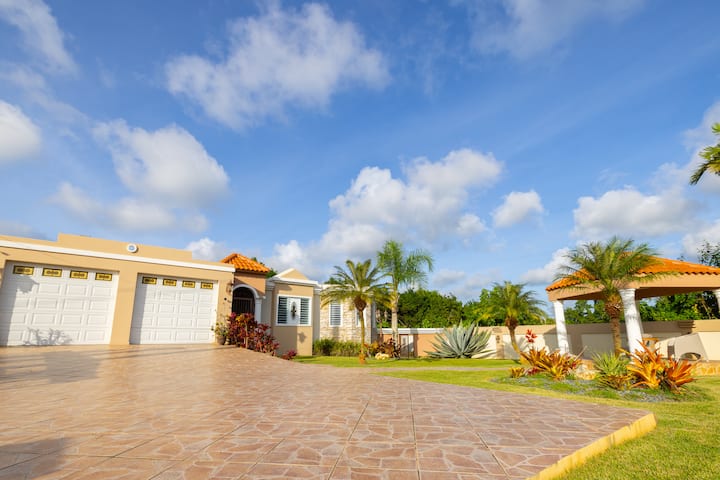 Aceituna - Puerto Rico