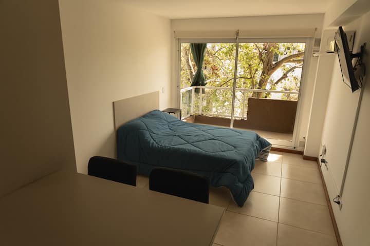 Studio Pichincha - Santiago 6 - Rosario