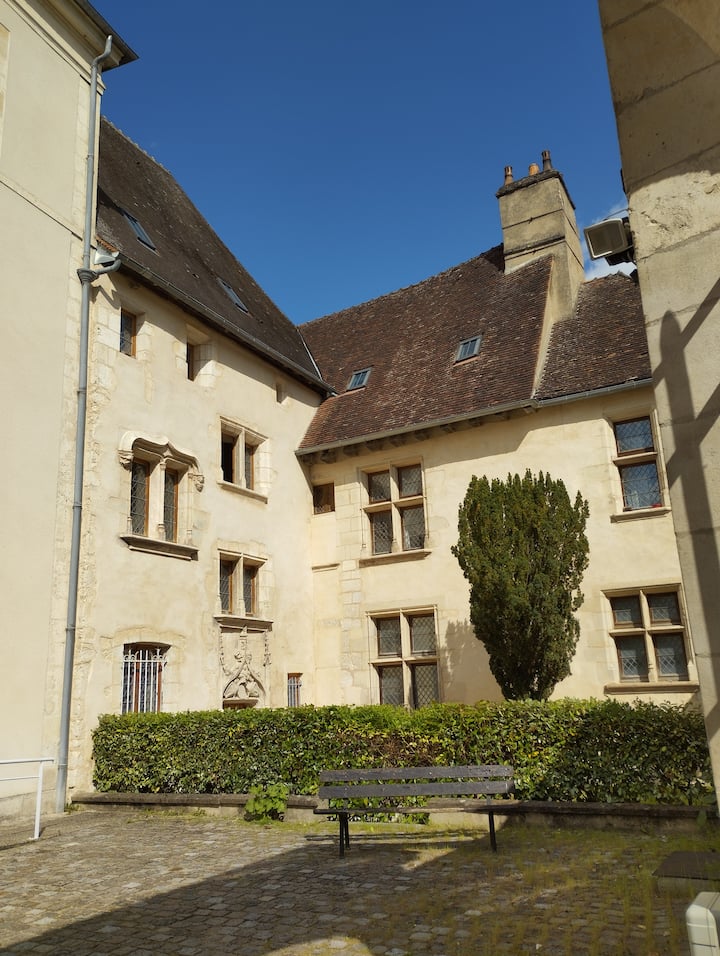 Appartement Duplex Centre Historique - Bourges