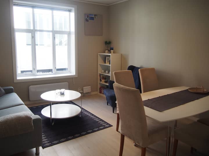Leilighet I Bergen Sentrum - Bergen