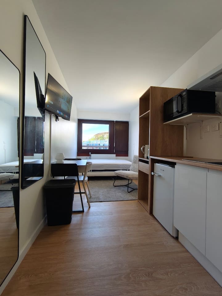 Bright Studio Next To Tram 17 Direct To Gva Center - アンヌマス