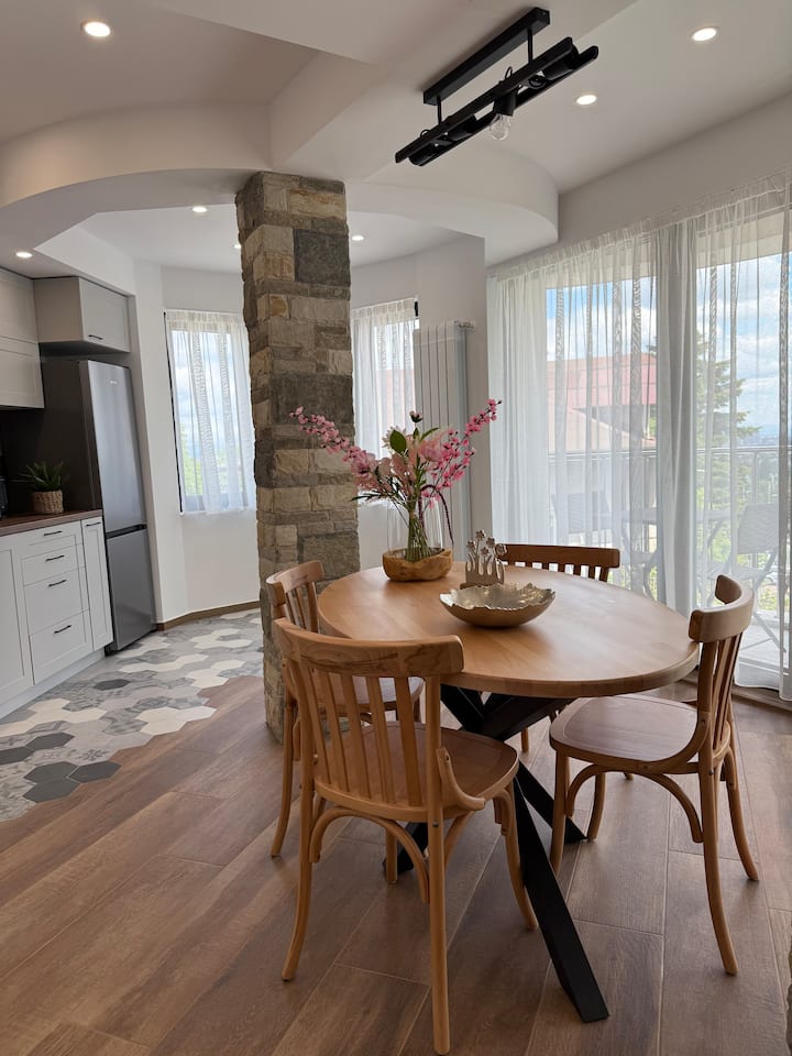 Sofia View Luxury Apartment Floor 3 - Bankya