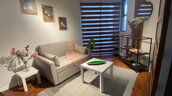 Barrio Lastarria Full Equipado Sofa Cama Wifi - Santiago de Chile