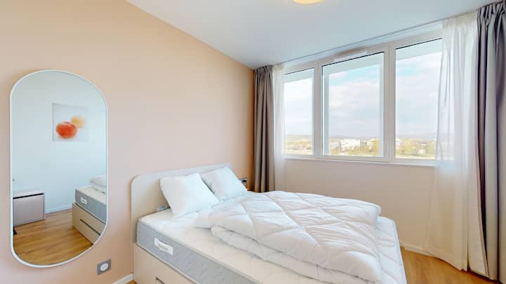 Travailler Au Bord Du Rhin-co Working & Wifi - Huningue