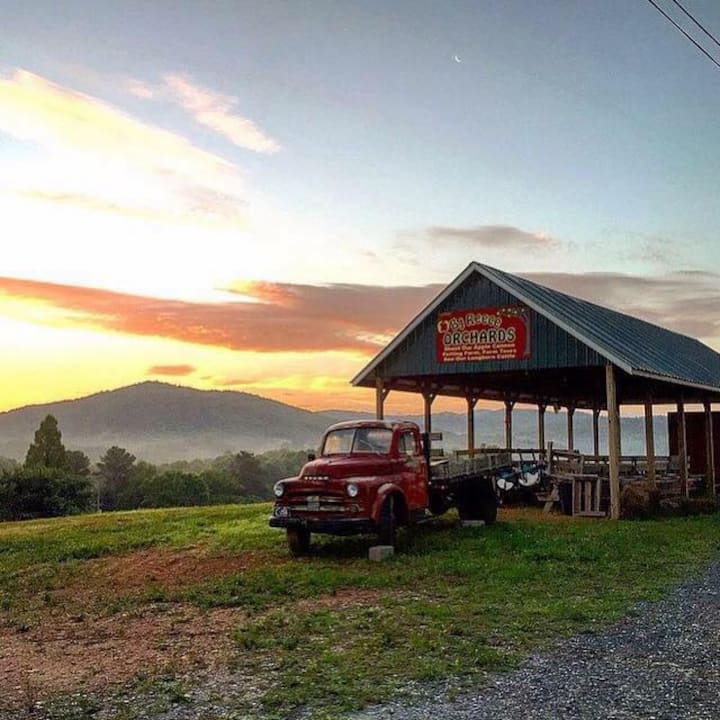 Charming Cabin W/ Fire Pit • 2 Minutes To Downtown - Ellijay, GA