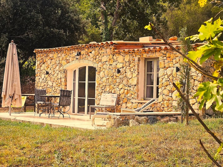 Cabanon De L'artiste - Salernes