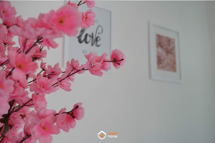 Moderno Departamento Velas, Centrico Y Comodo, A/a - Tepic