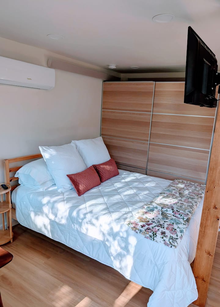 Whimsy In Wyoming - Laramie, WY