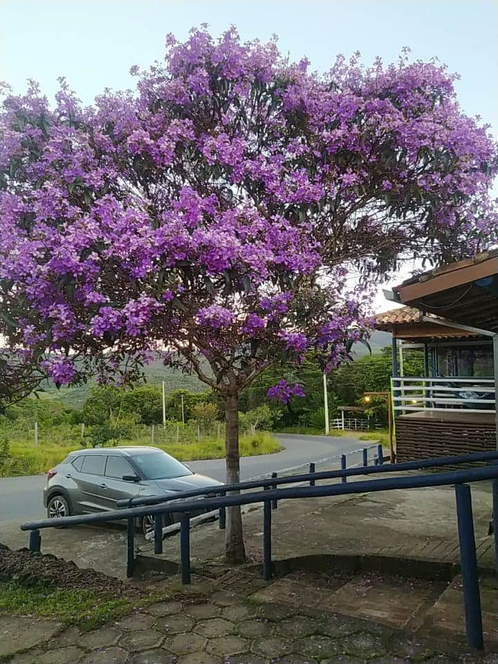 Casa Charmosa Na Estrada Para São Bartolomeu - Itabirito