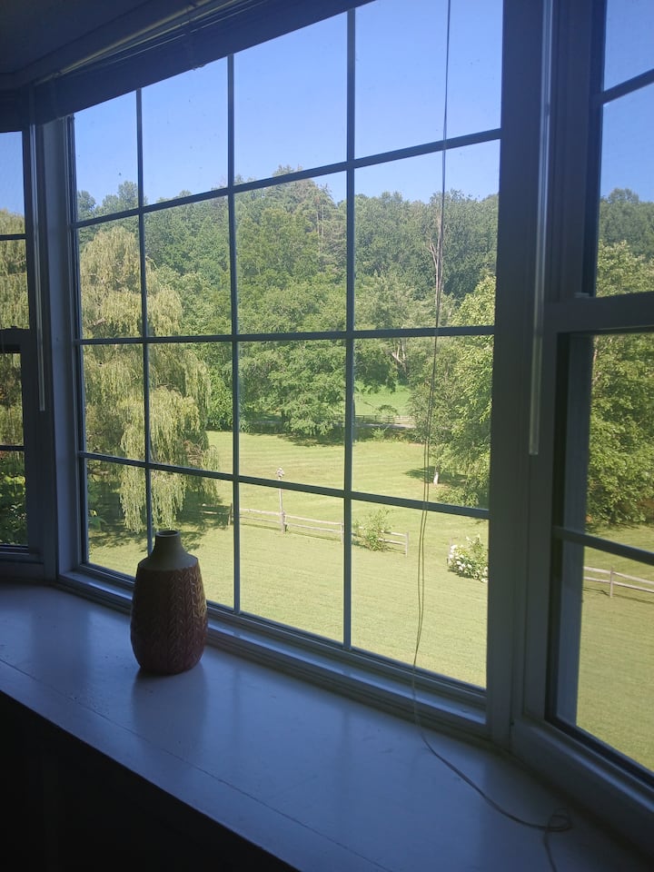 Scottie - Bryson City, NC