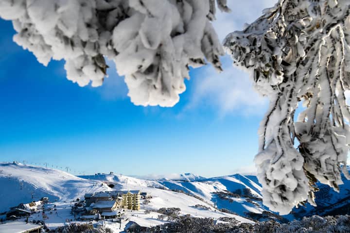Ski Out 4 Person Budget Studio W/pool, Sauna & Spa - Harrietville