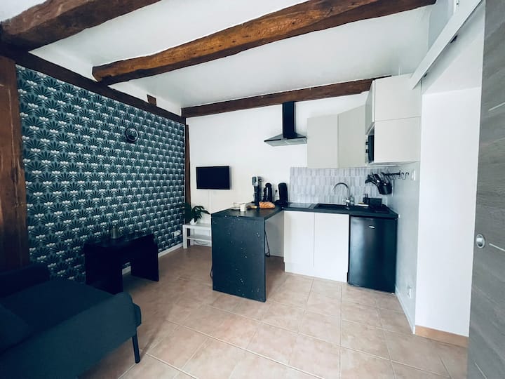 Charmant Studio Dans Le Vignoble Proche Strasbourg - Marlenheim