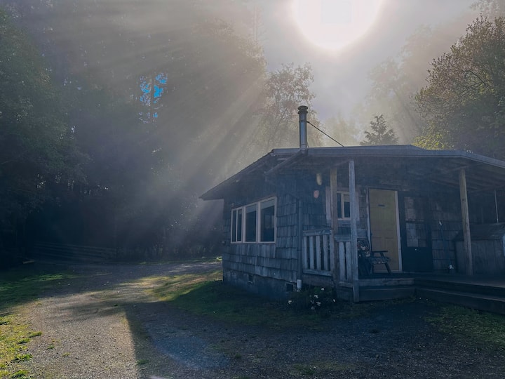 Rockhound - Cozy Retreat On A Private Beach - Lake Crescent, WA