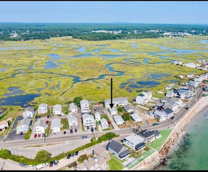 The Salty Ladybug - Wells, ME