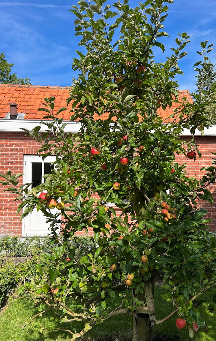 Parel Aan Zee - Hellevoetsluis