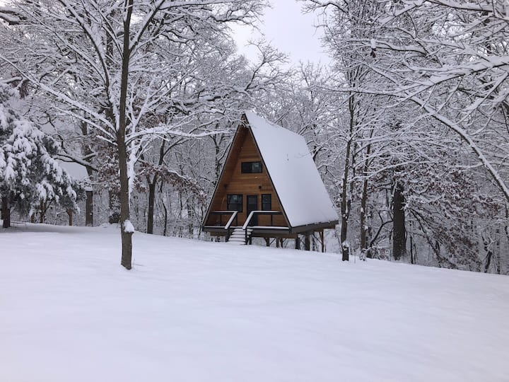 Black Walnut Bungalow - Rogers, AR