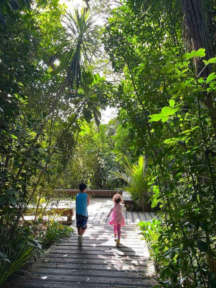 Five Olives Holiday House - Waiwera