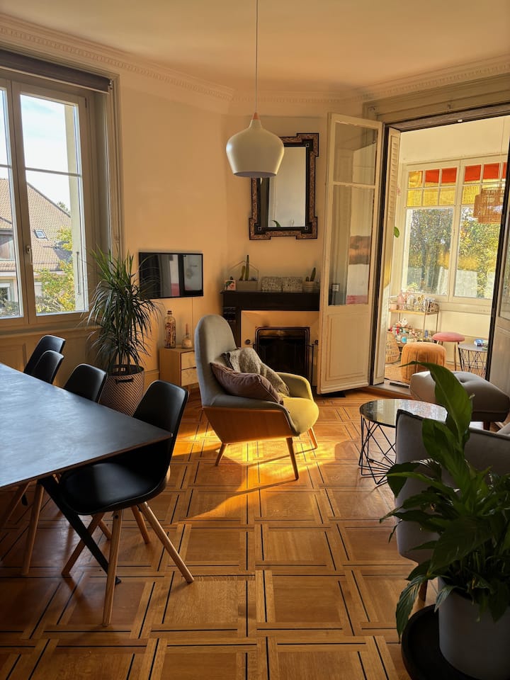 Grand Appartement Plein De Charme Avec Jardin - Lausanne